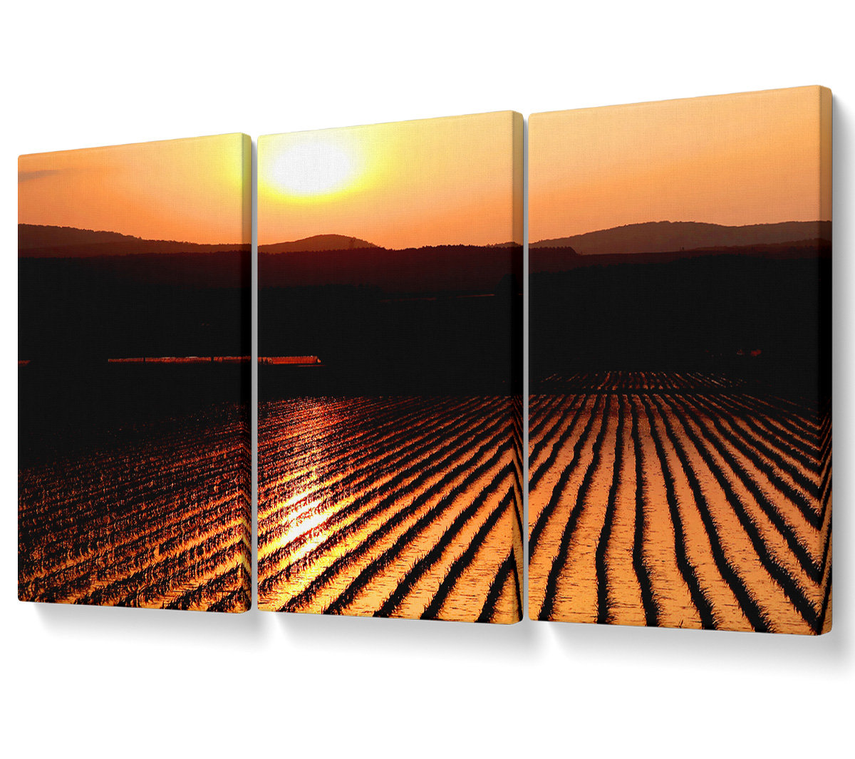 Ebern Designs Sunset the Wheatfield - 3 Piece Wrapped Canvas Graphic ...