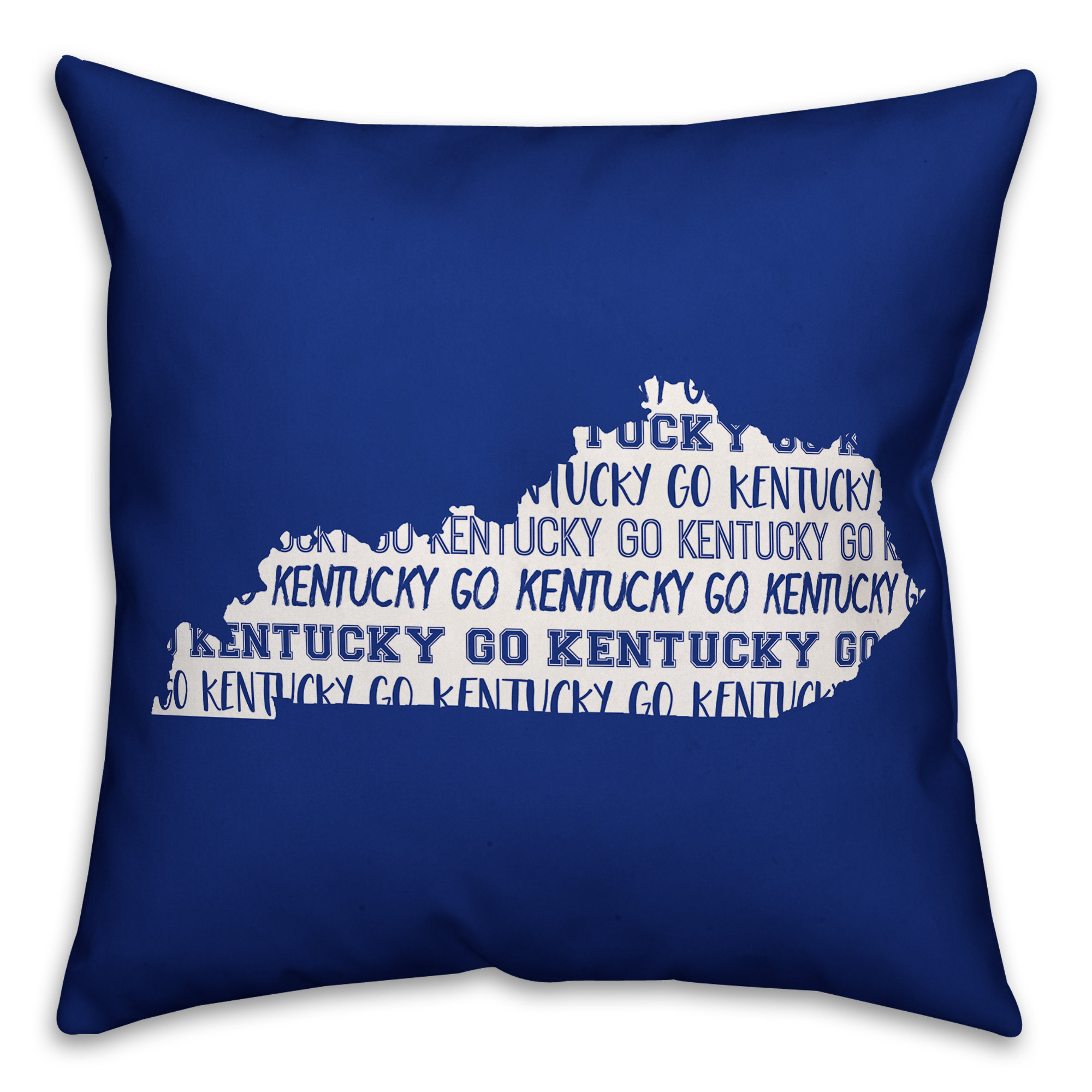 Designs Direct Creative Group Go Kentucky Indoor/Outdoor Throw Pillow ...