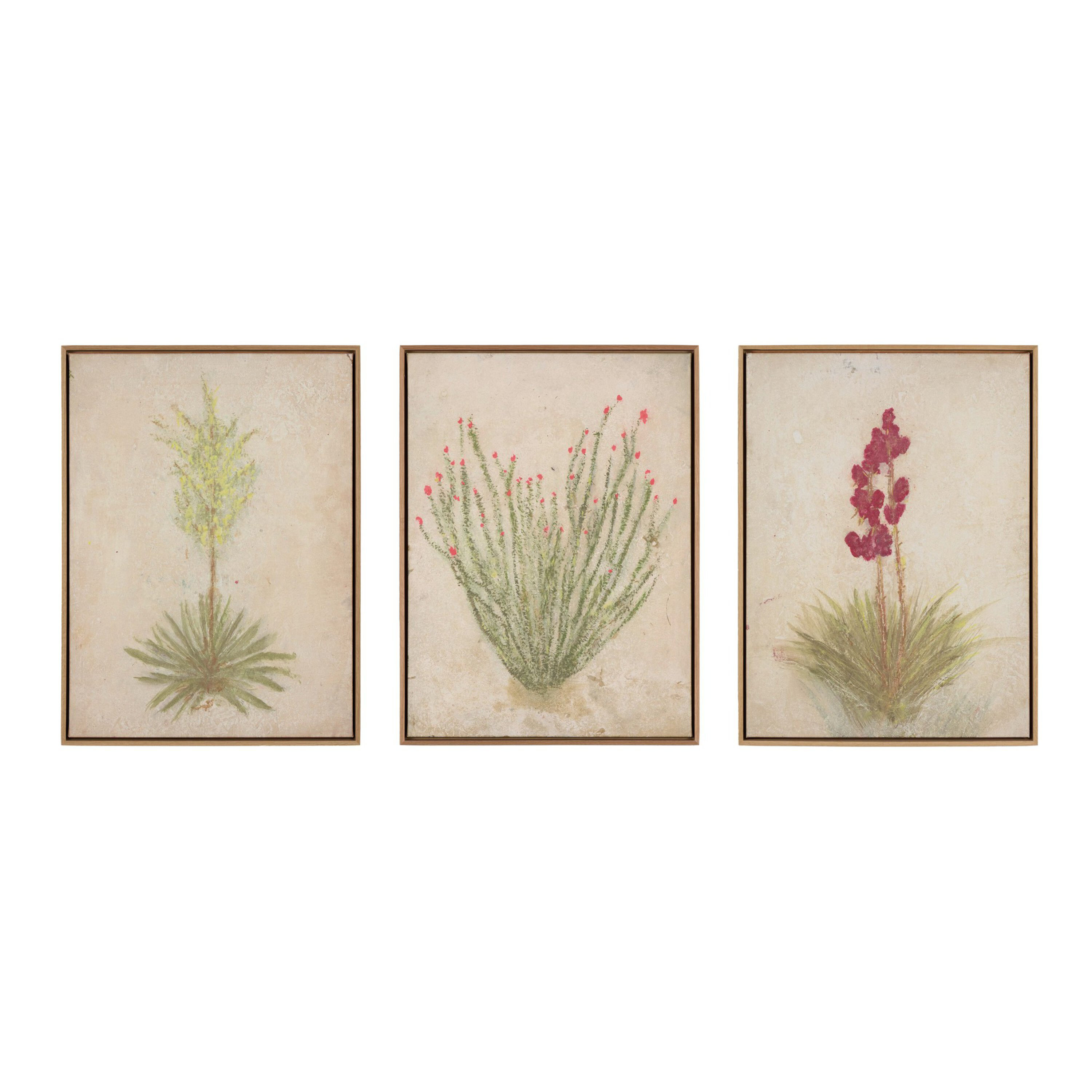 Four Hands Desert Flora Triptych By Paul Meyer | Perigold