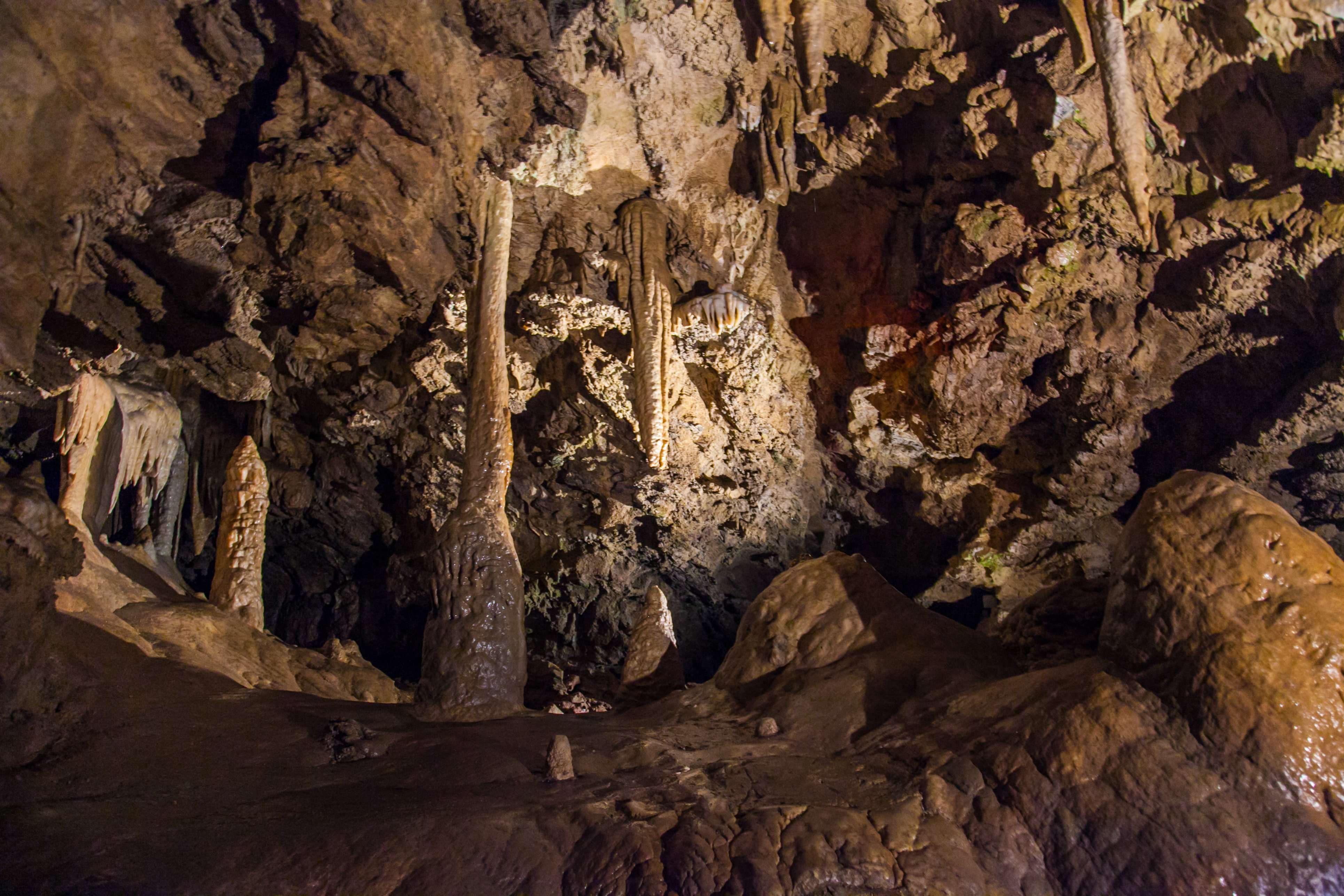 Millwood Pines Oregon Caves National Monument by Fdastudillo | Wayfair
