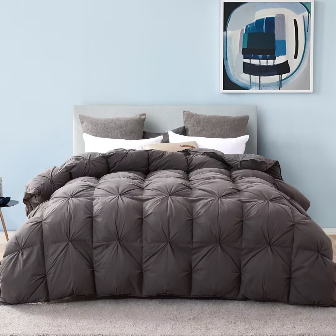 Alwyn Home 750+ Fill Power Goose Feathers Showunmi with Pinch Pleat ...