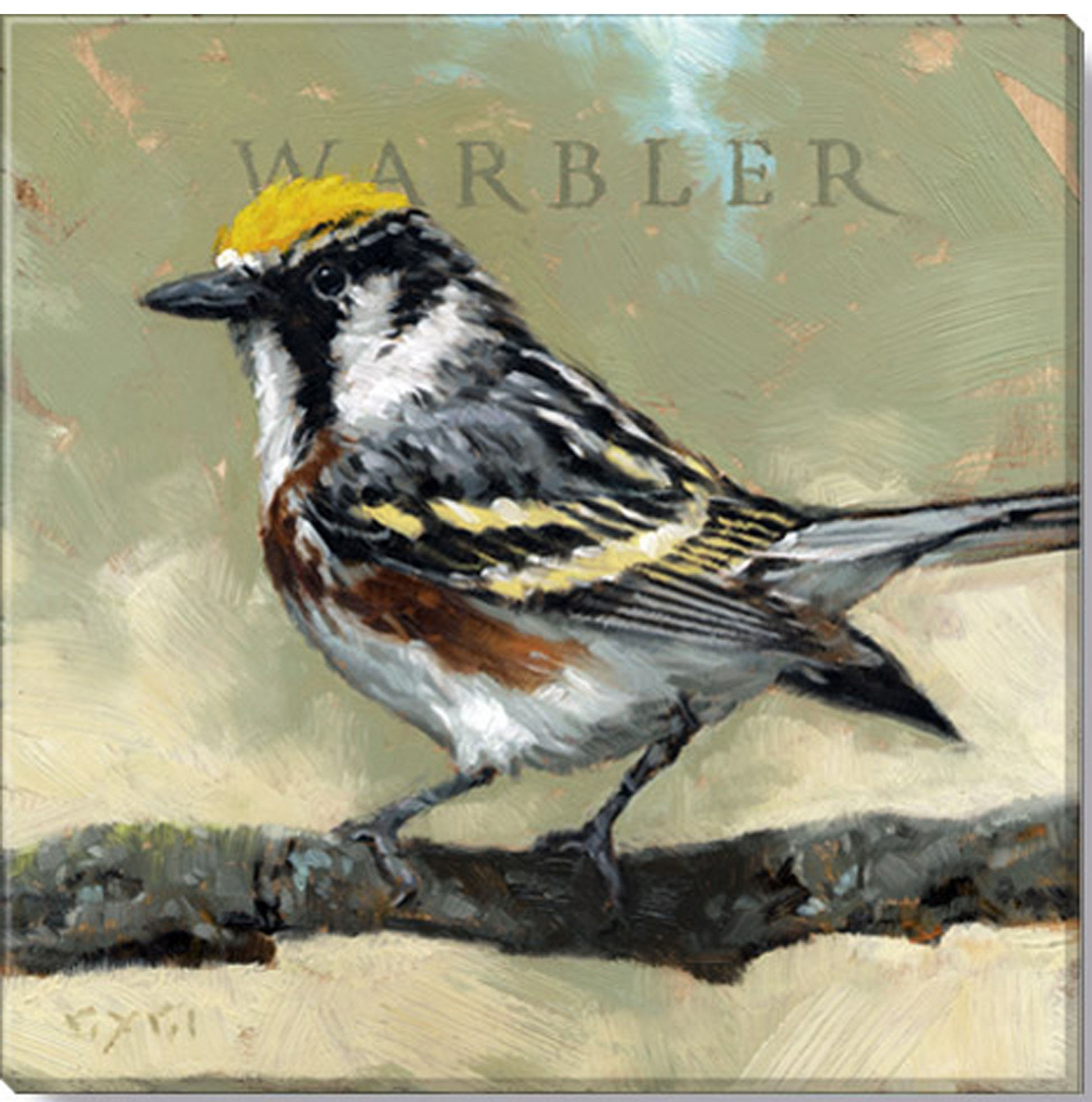 Darren Gygi Home Collection Warbler Giclee by Darren Gygi - Wrapped ...