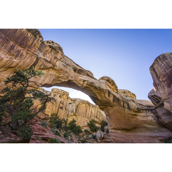 Natur Pur Hickman Bridge by Justin Bartels - Wrapped Canvas Art Prints ...