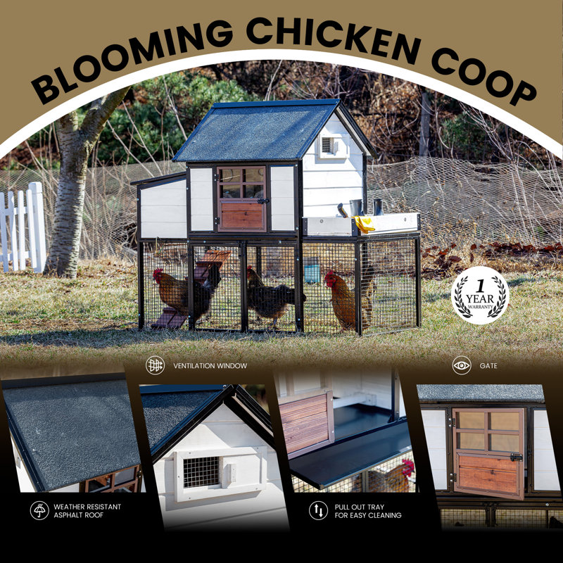 Tucker Murphy Pet™ Exael Steel Frame Chicken Coop with Raised Bed ...
