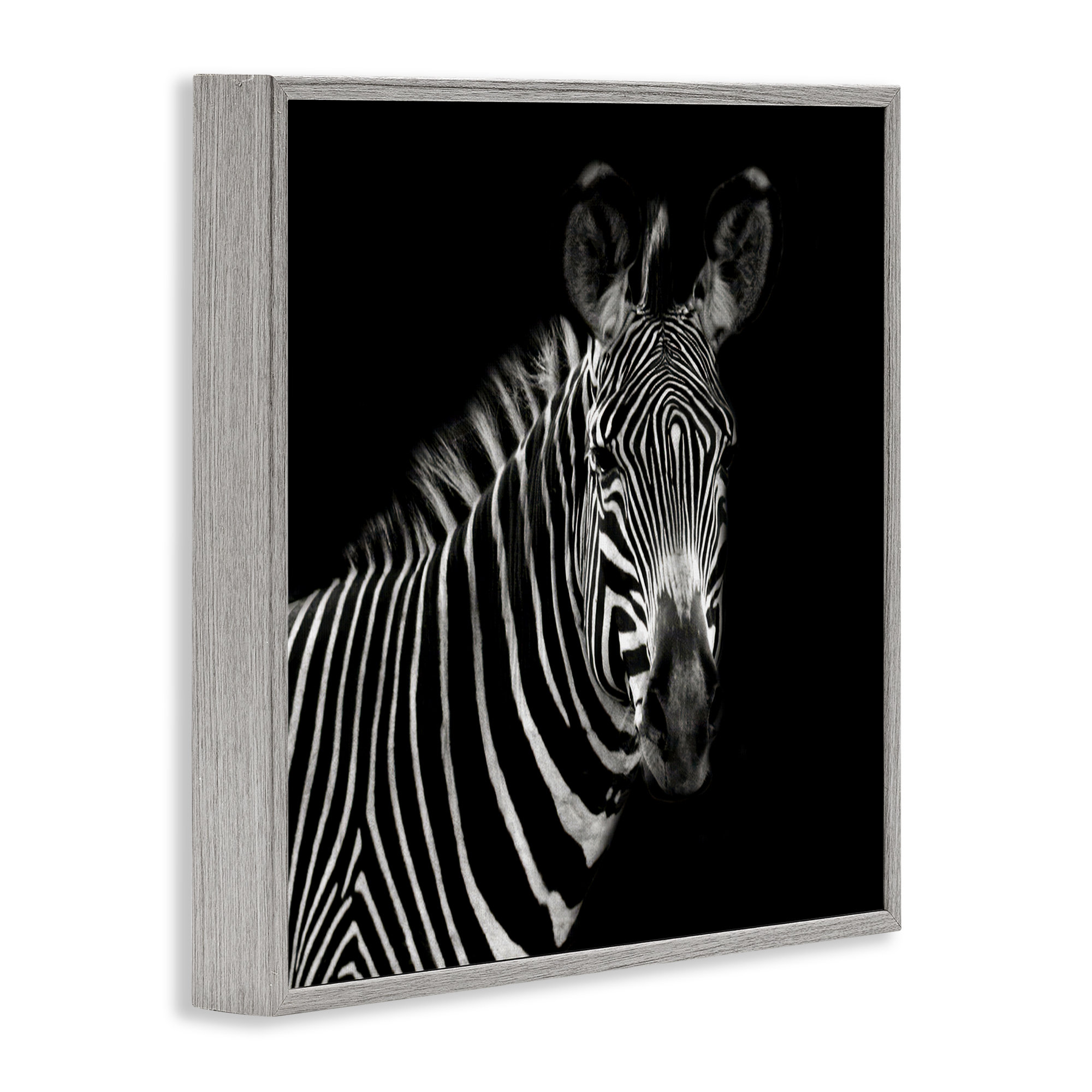 Ebern Designs Jungle Zebra Portrait Giclee Art by Susan Bryant | Wayfair