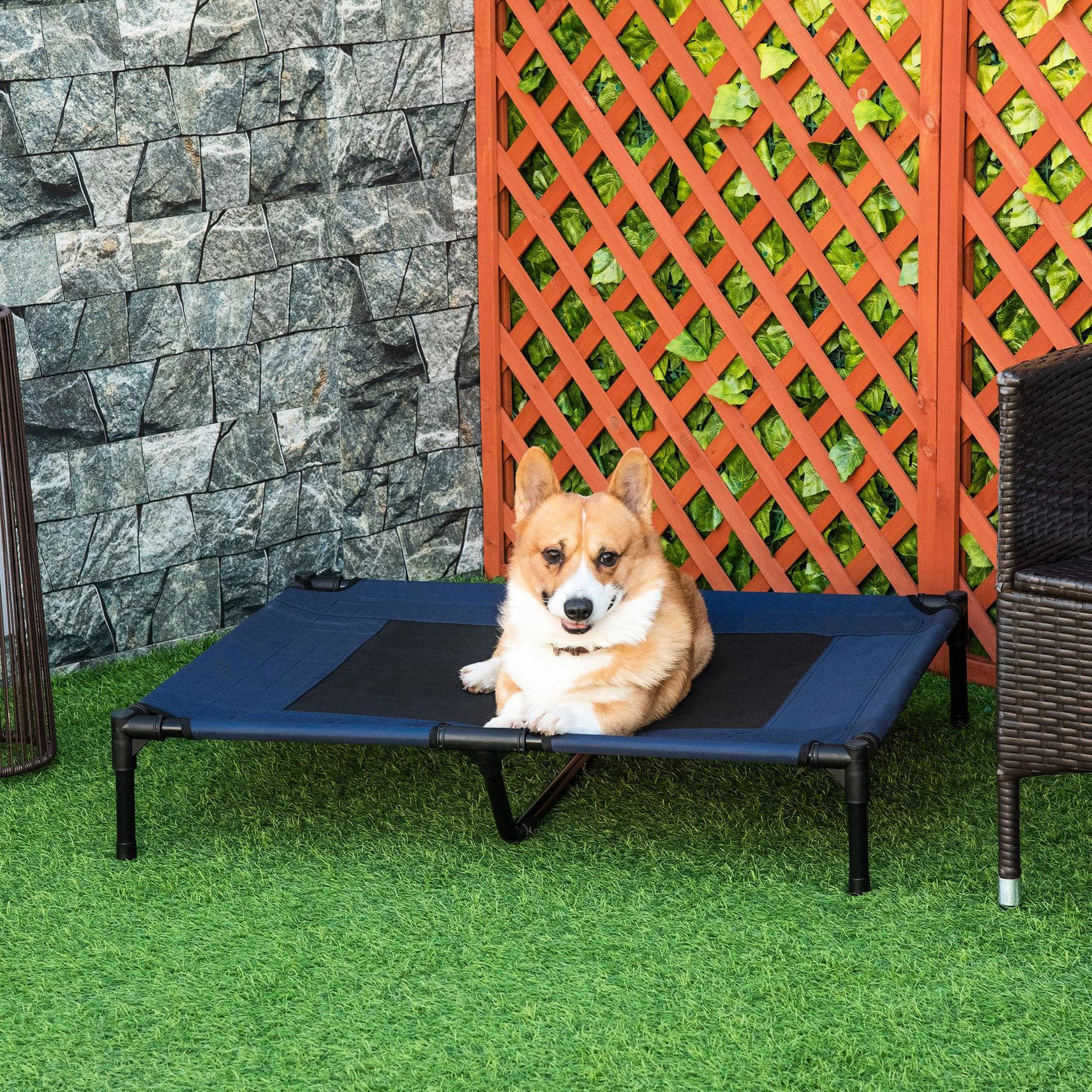 Hokku Designs 36"x30" Blue Elevated Mesh Pet Cot Bed - Offers Everyday ...