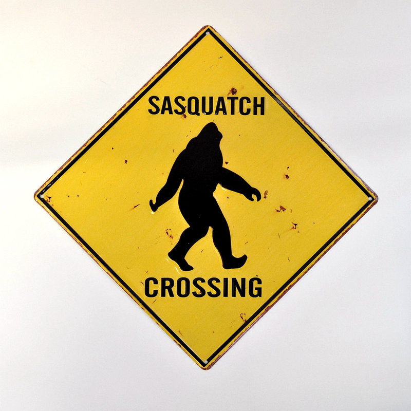 Trinx Sasquatch Crossing - Unframed Textual Art Print on Metal | Wayfair