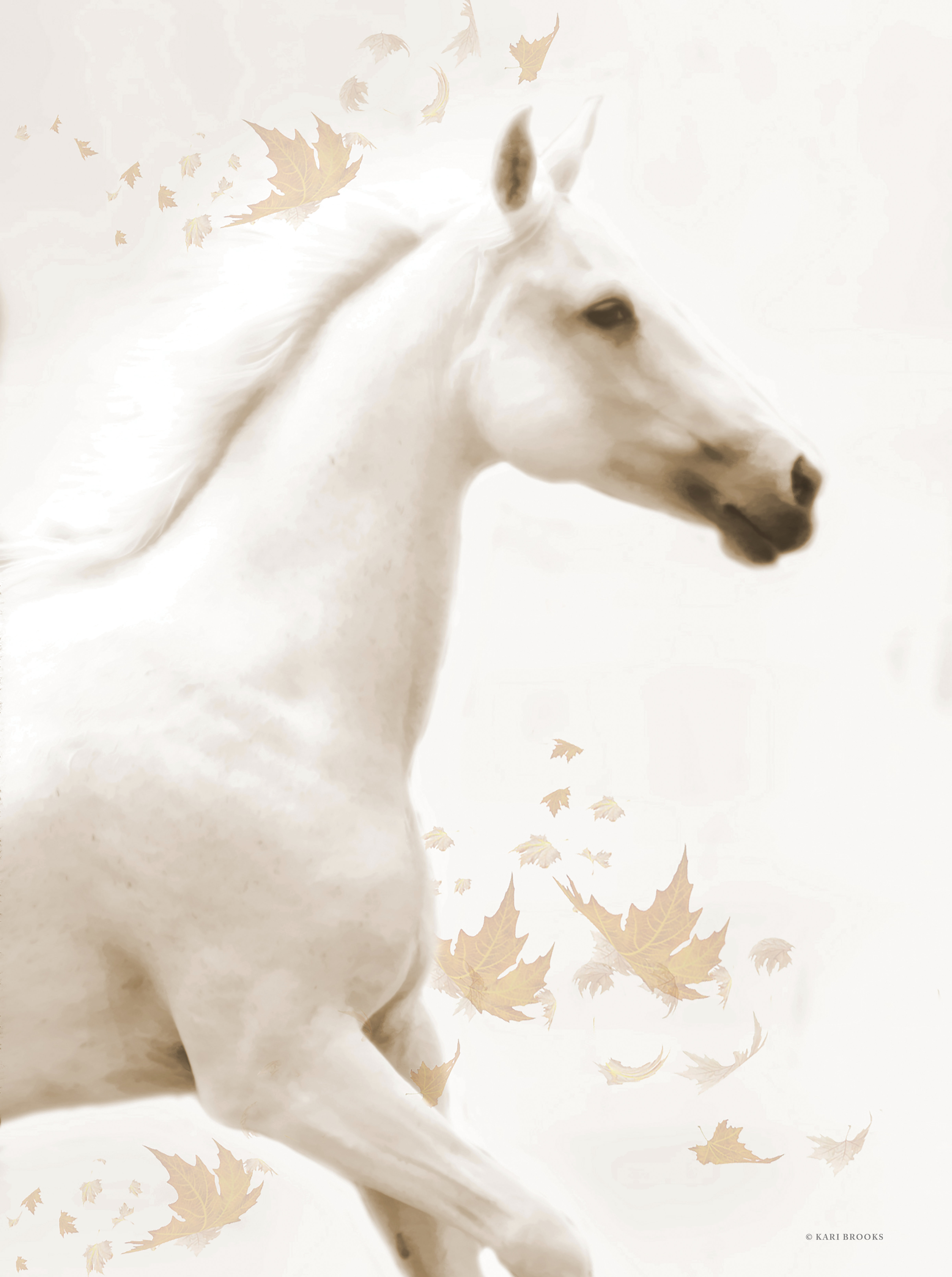 Union Rustic Autumn Bella On Canvas by Kari Brooks Print | Wayfair