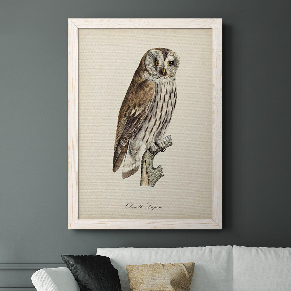 Millwood Pines Lynden French Owls III - Single Picture Frame Print on ...