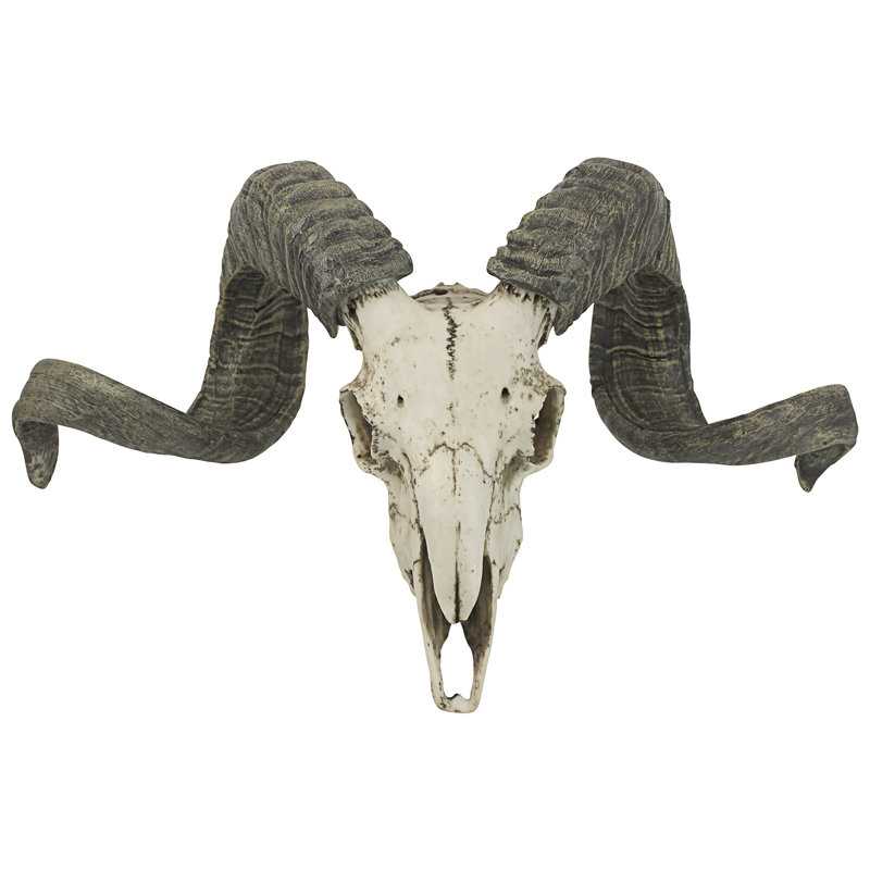 Design Toscano Corsican Ram Skull and Horns Trophy Wall Sculpture ...