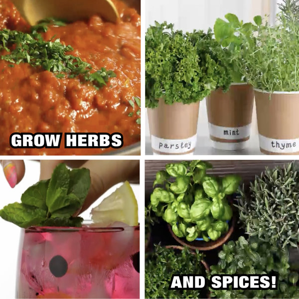 Bell + Howell Bionic Grow Led Flexible Indoor Grow Light With 4 ...