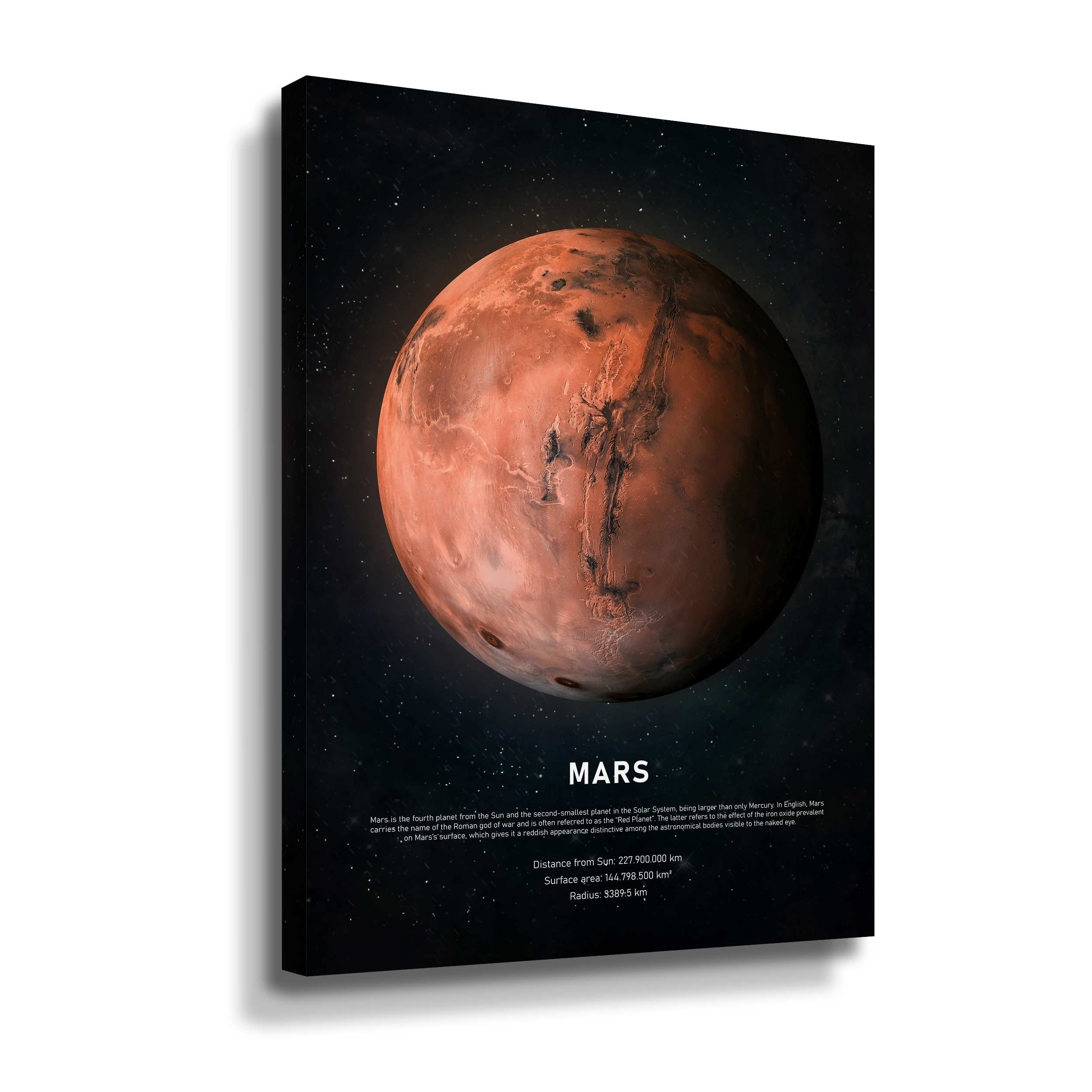 Ebern Designs Mars - Graphic Art on Canvas | Wayfair
