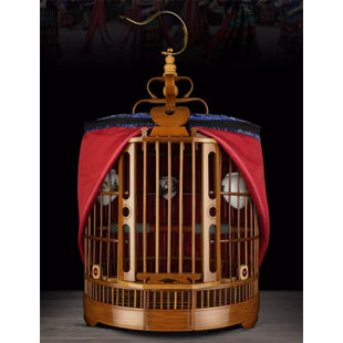 Table Top Bird Cages You'll Love | Wayfair