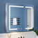 Orren Ellis Vinush Frameless Medicine Cabinet with LED Lighting, 3 ...