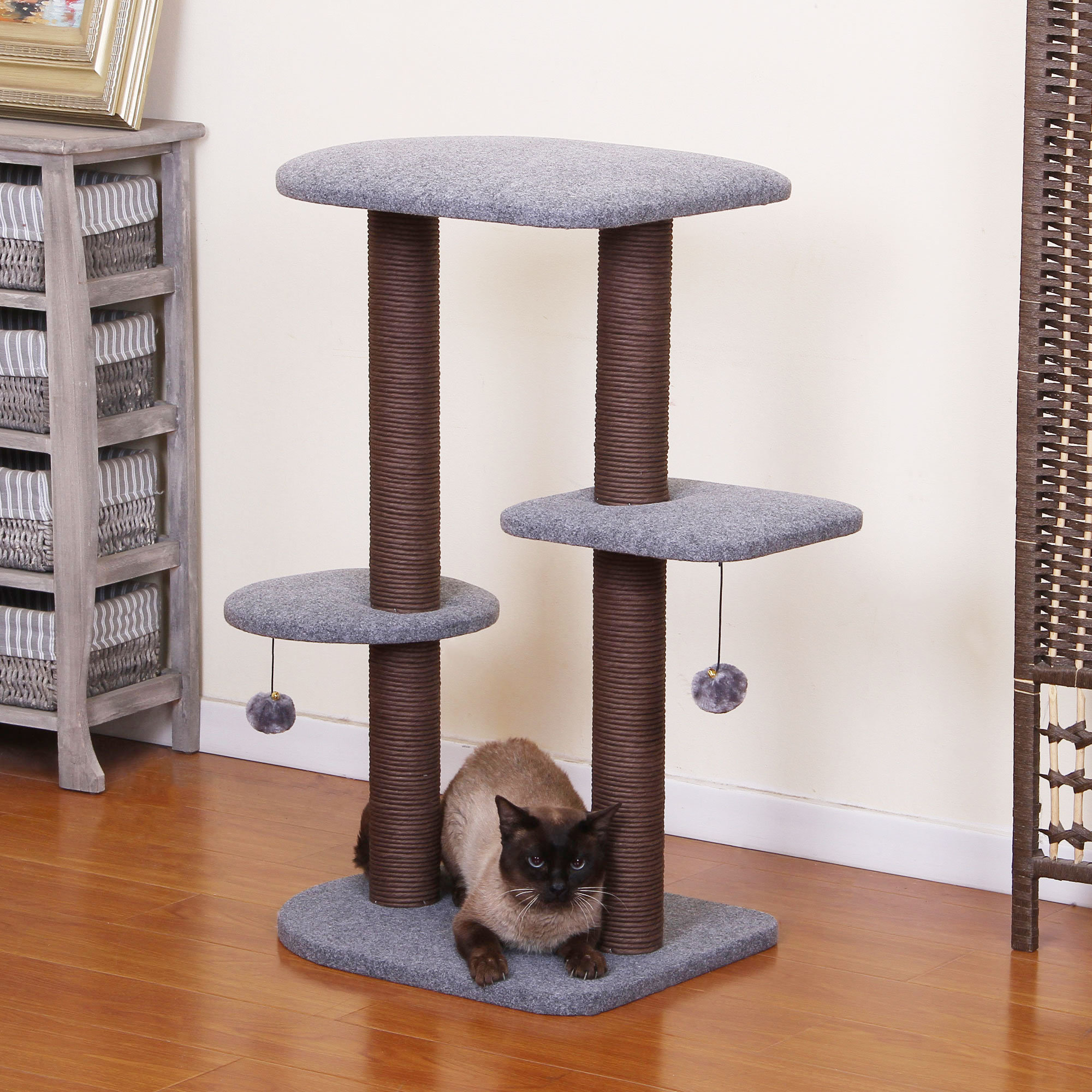 PetPals 32" Groovy Cat Tree & Reviews | Wayfair
