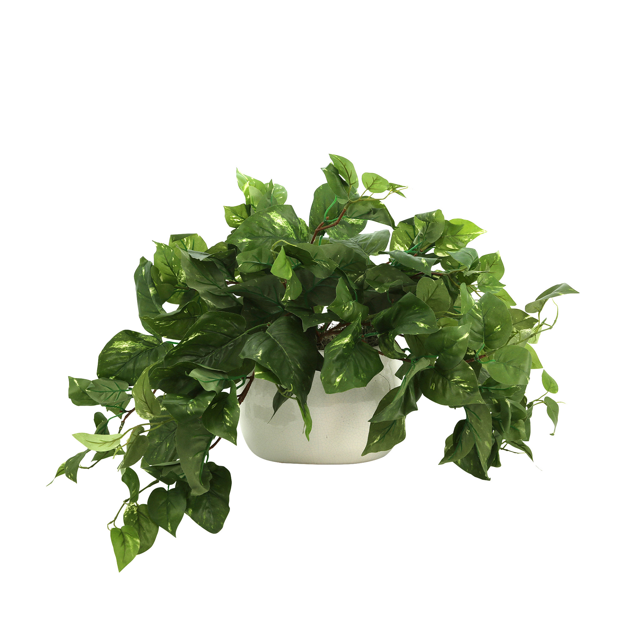 Creative Displays, Inc. Pothos Plant in Ceramic Pot | Perigold