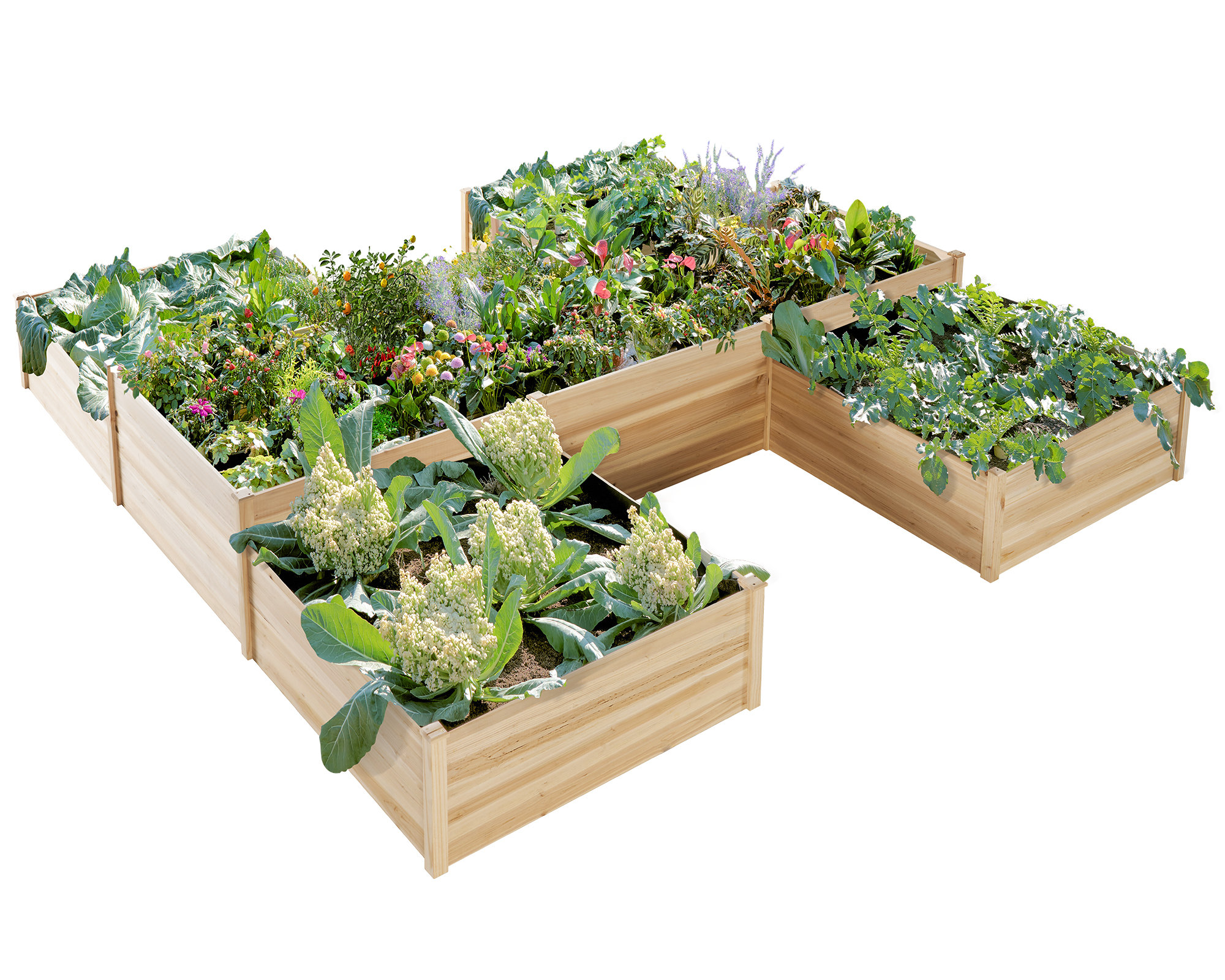 Gracie Oaks Raised Garden Planter, 12x12x2 ft H-Shaped Raised Garden ...