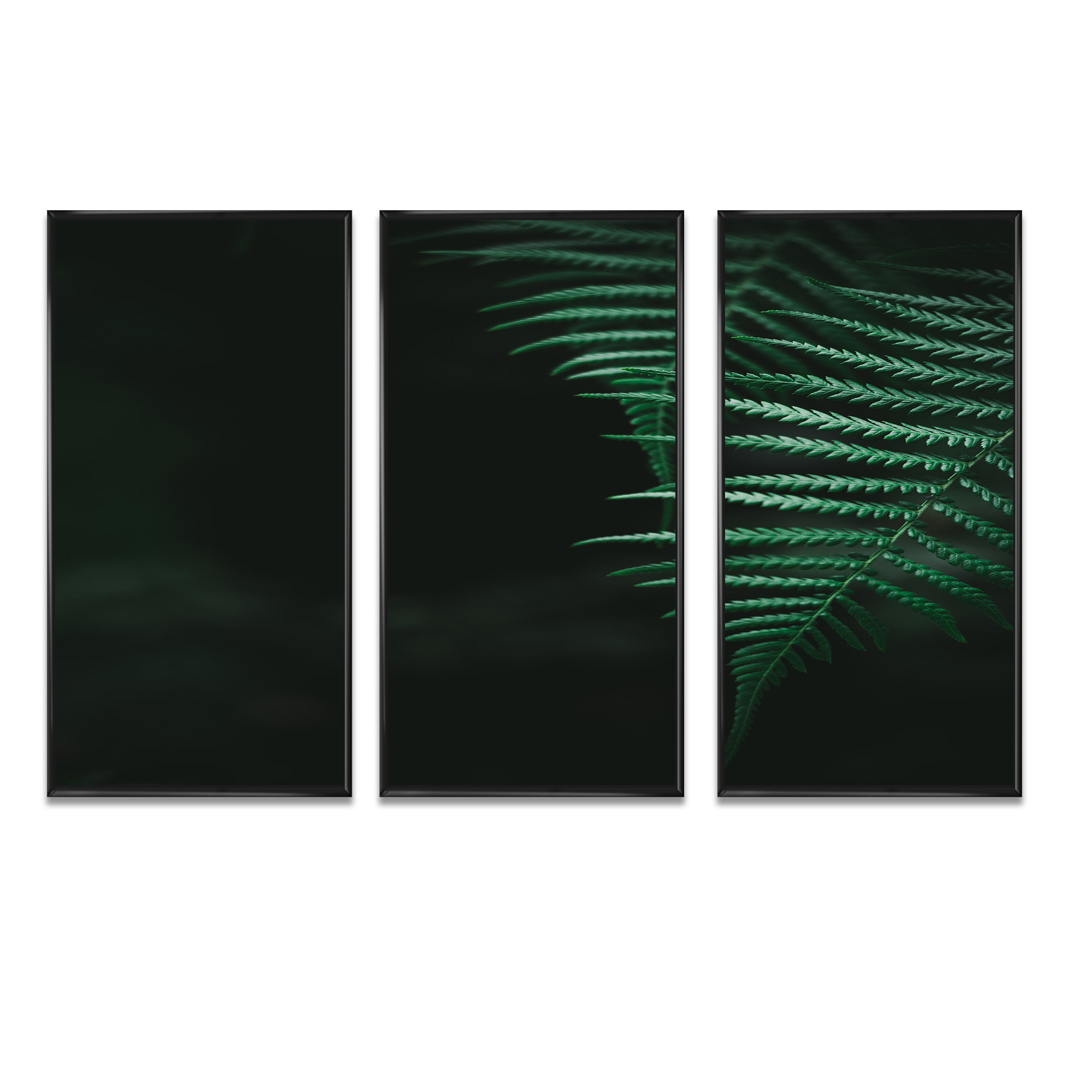Ebern Designs Dark Green Natural Fern Pattern I - Tropical Framed ...