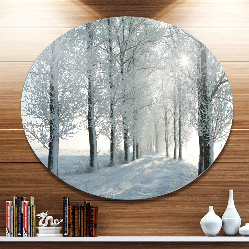 Design Art 'Winter Trees Backlit by Morning Sun' Photographic Print on ...