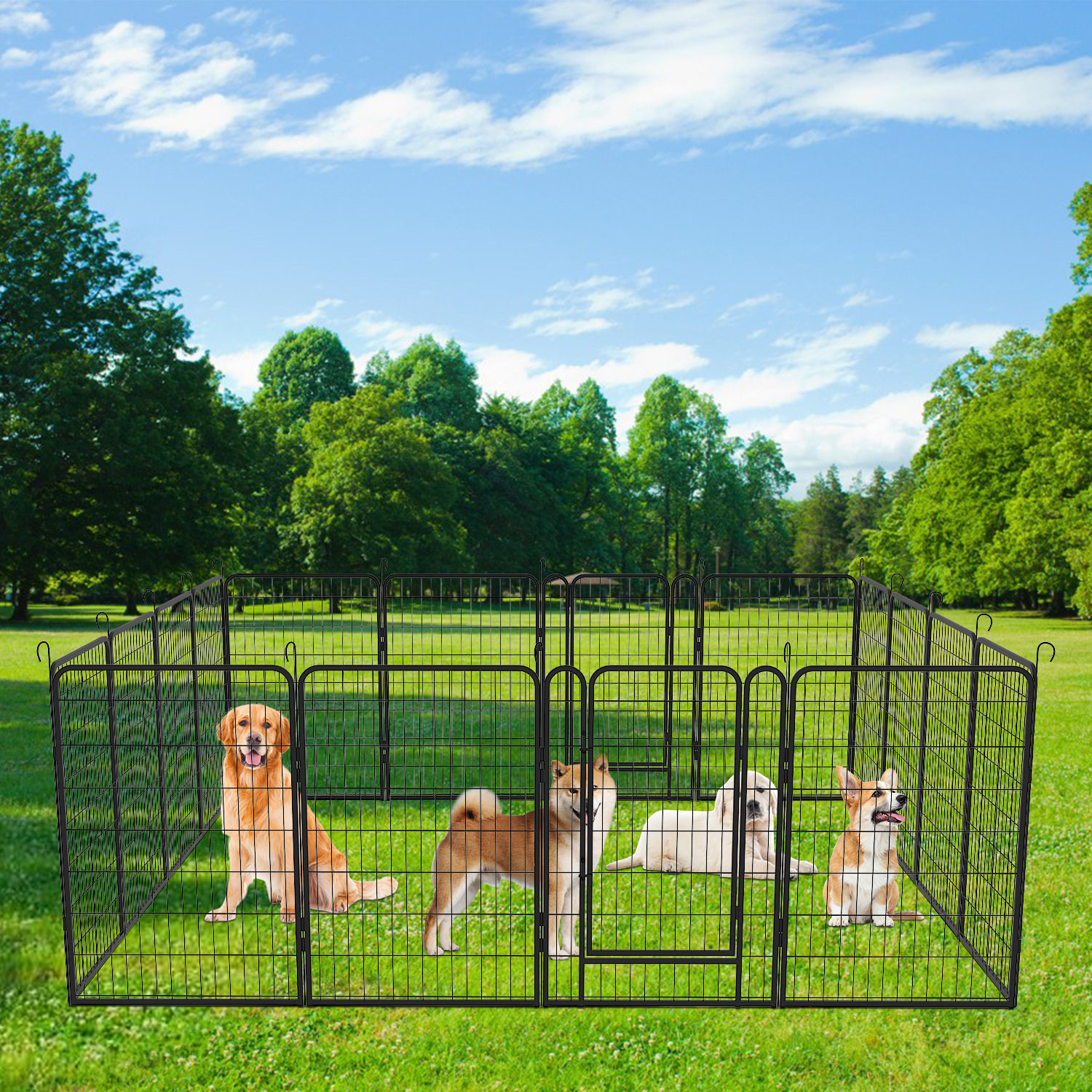 specool 39.37'' H 16 Panel Metal Exercise Pen With Pet Door - Wayfair ...