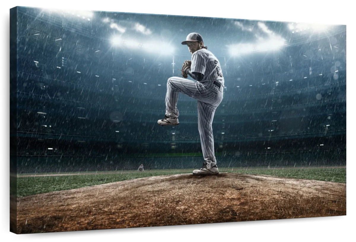 Ebern Designs Sireci Baseball Pitching | Wayfair