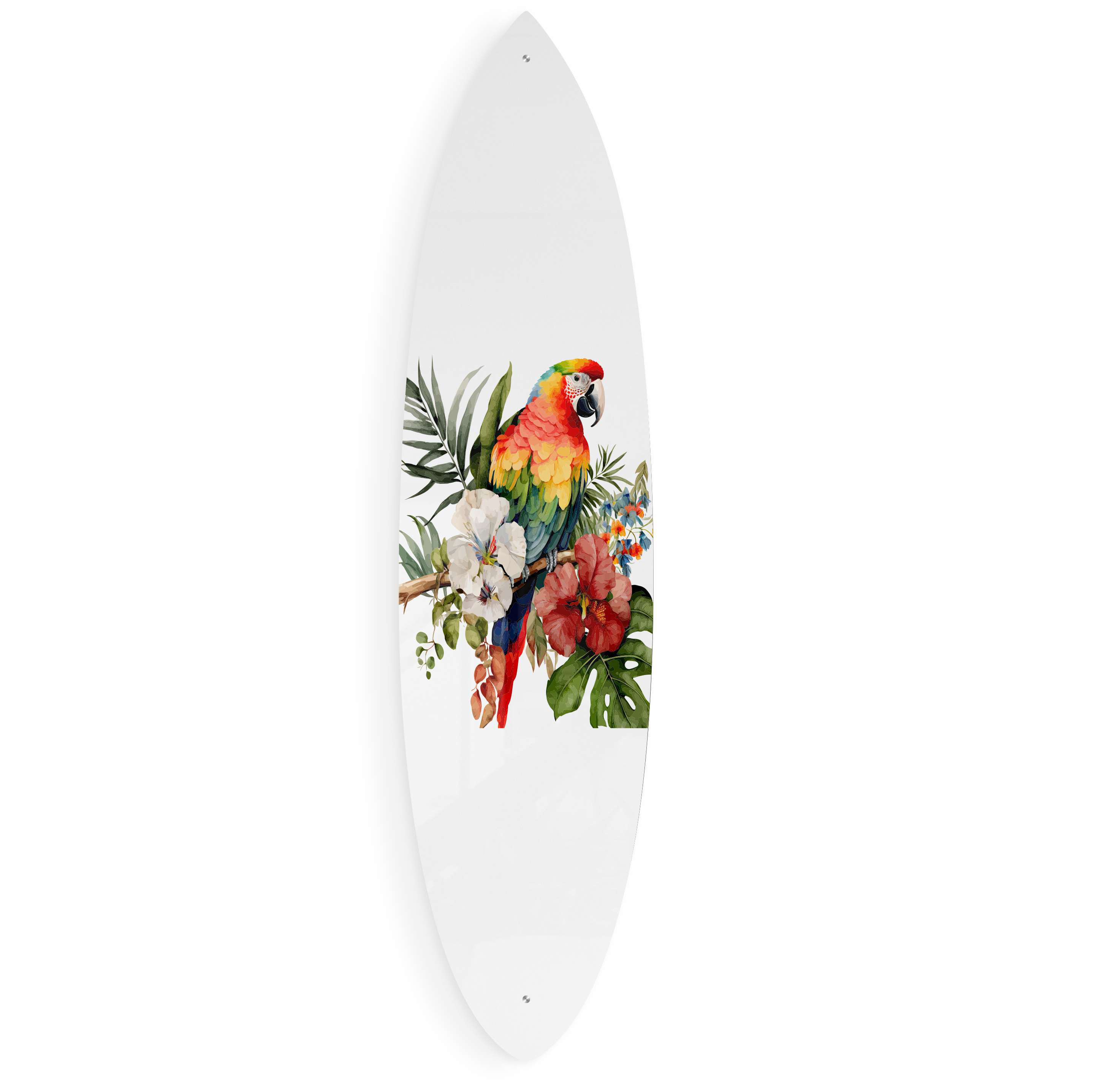 UniQstiQ Parrot Pattern Acrylic Surfboard Wall Art - Wayfair Canada