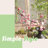 Primrue 7 Pcs Faux Cherry Blossom Decor, Long Stem Artificial Flowers ...