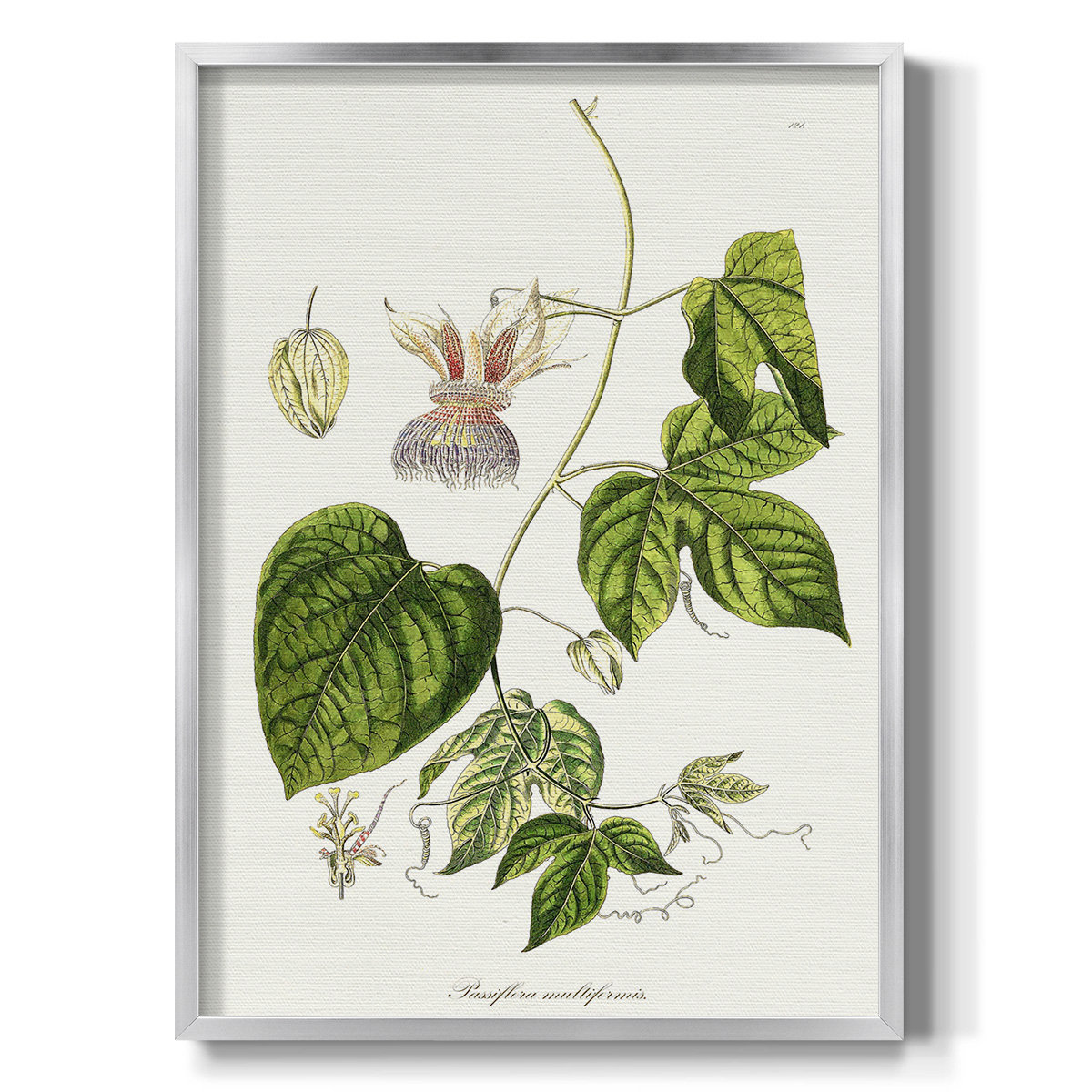 August Grove Interconnected Shapes II Framed Print | Wayfair