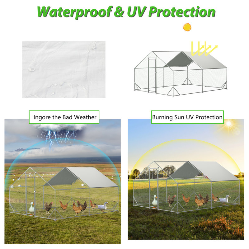 Tucker Murphy Pet™ Ceilidh Metal Chicken Run Coop, Walk-in Poultry Cage ...