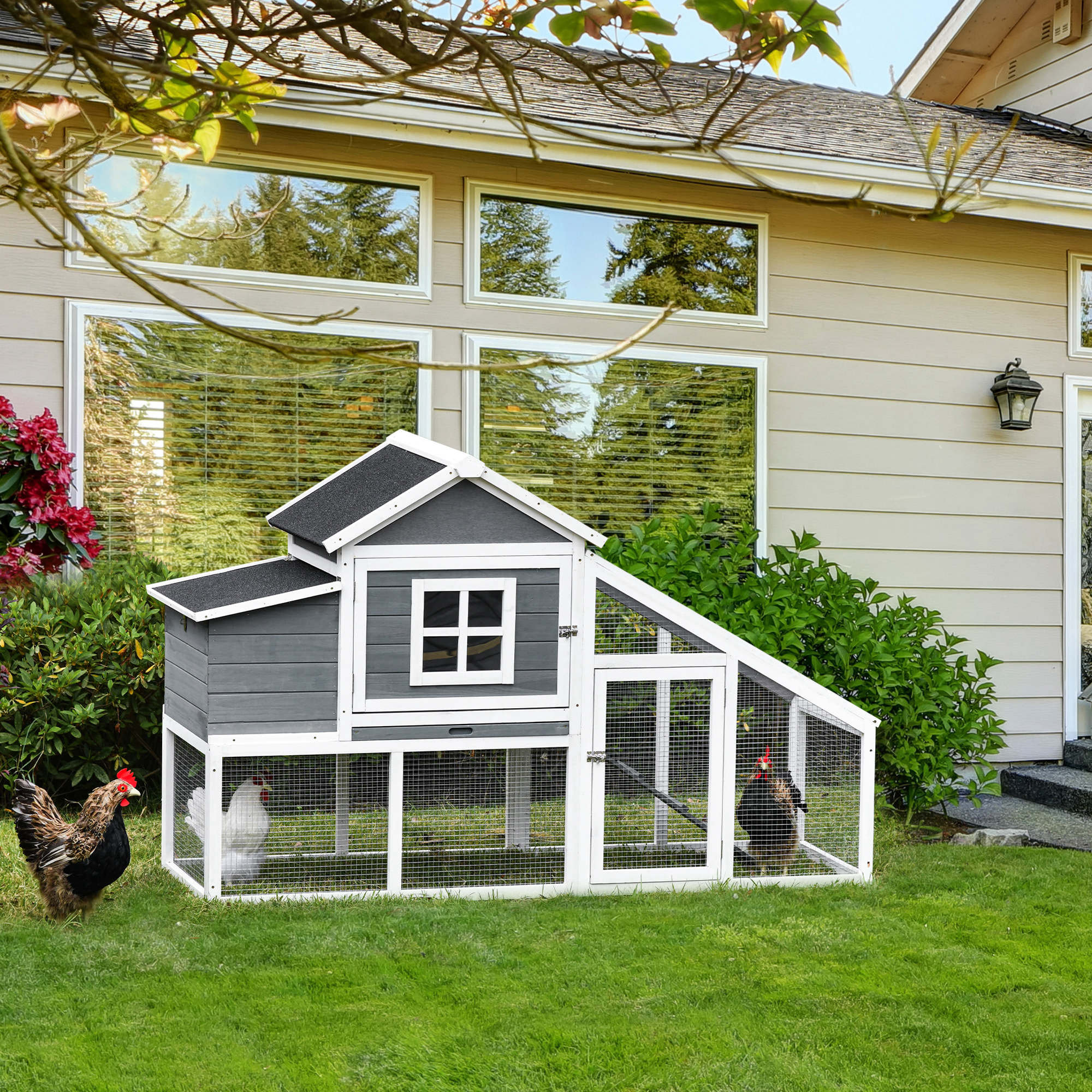 Tucker Murphy Pet™ Beggley Chicken Run & Reviews - Wayfair Canada