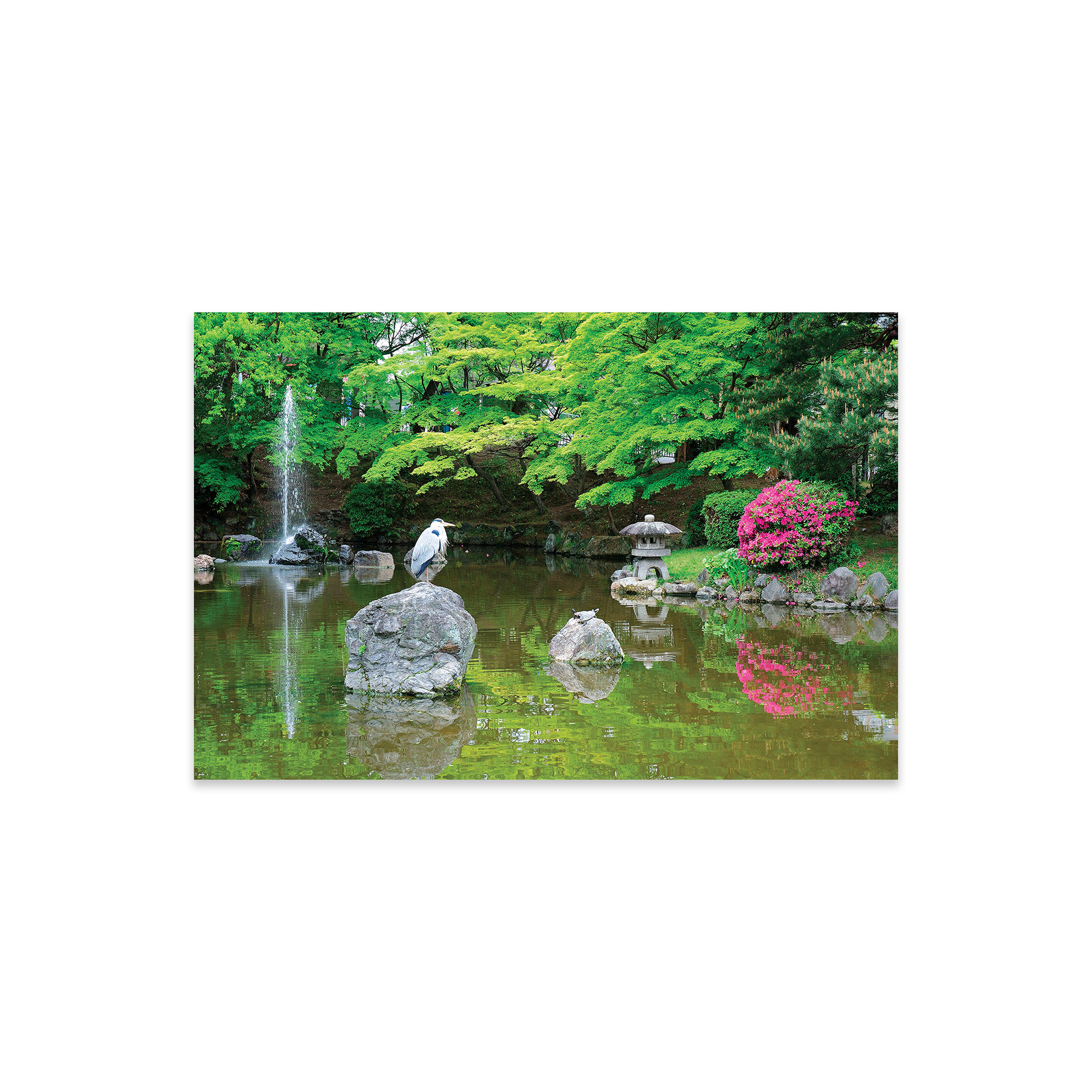 Loon Peak® Heron In A Pond, Kyoto Prefecture, Japan On Plastic ...
