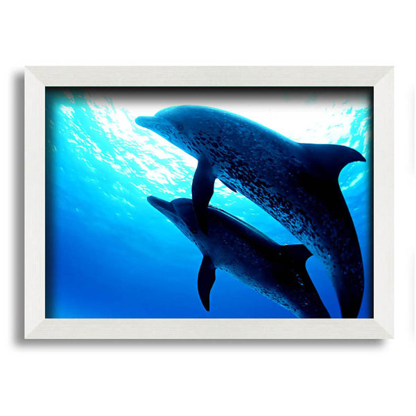 House of Hampton Dolphins Under The Sea Framed Print Wall Art | Wayfair ...