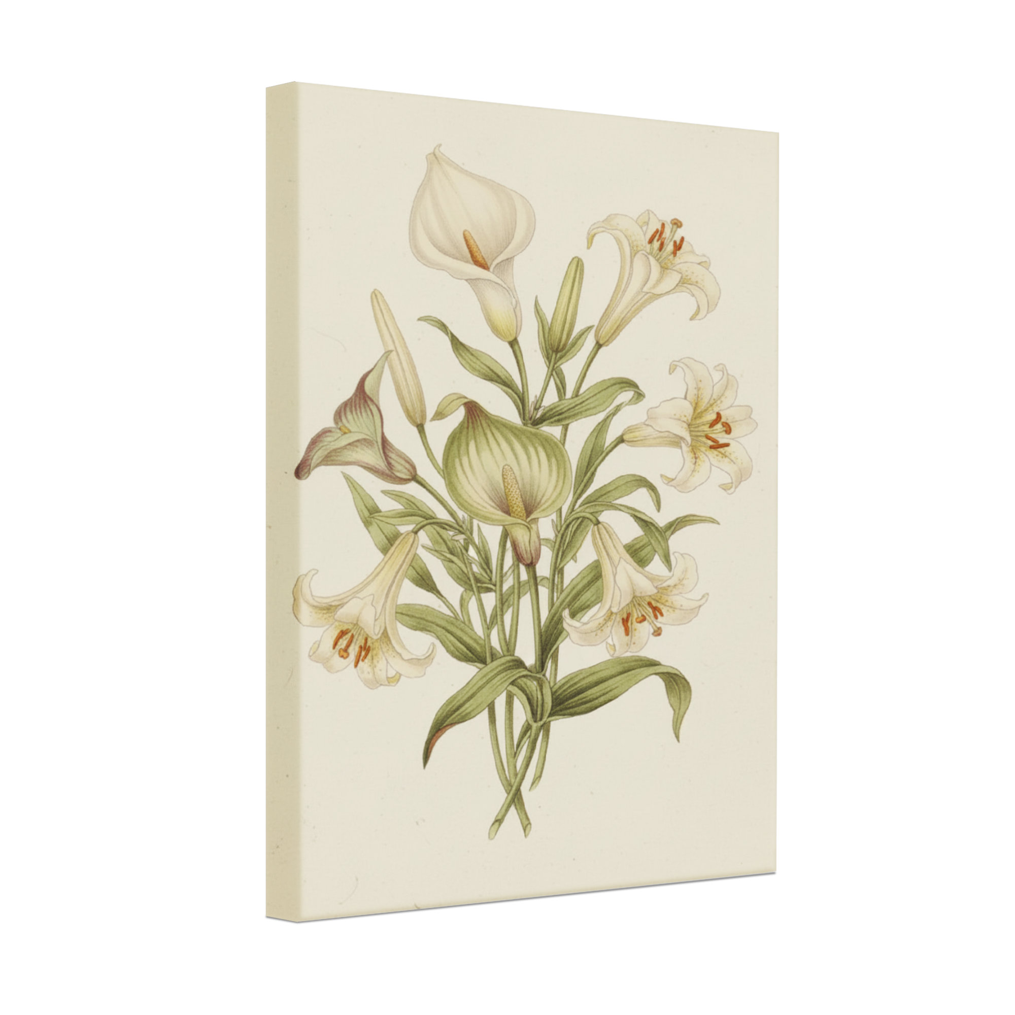 Canora Grey Plants & Flowers White Lilies With Green Leaves And Stems ...