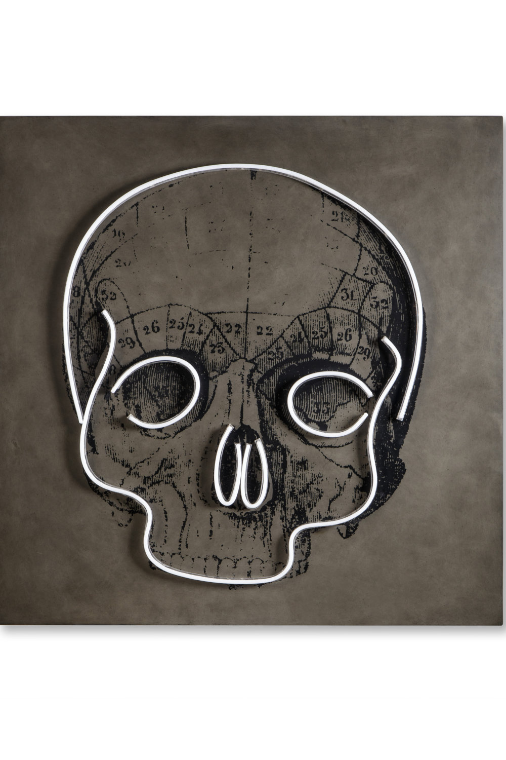 Andrew Martin Skull LED Neon Art - Unframed Graphic Art on MDF | Wayfair