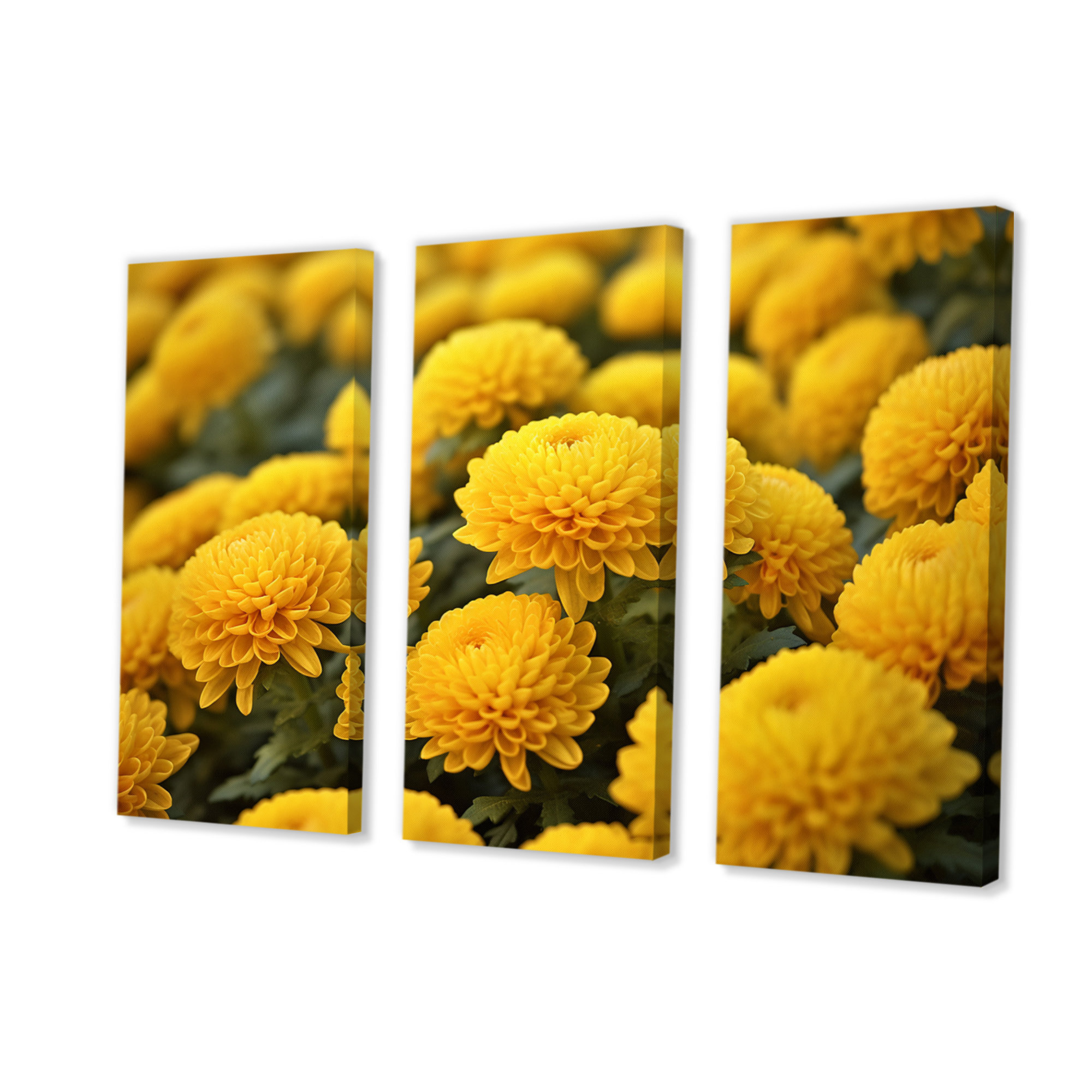 Ebern Designs Yellow Mums In Bloom I On Canvas 3 Pieces Print | Wayfair