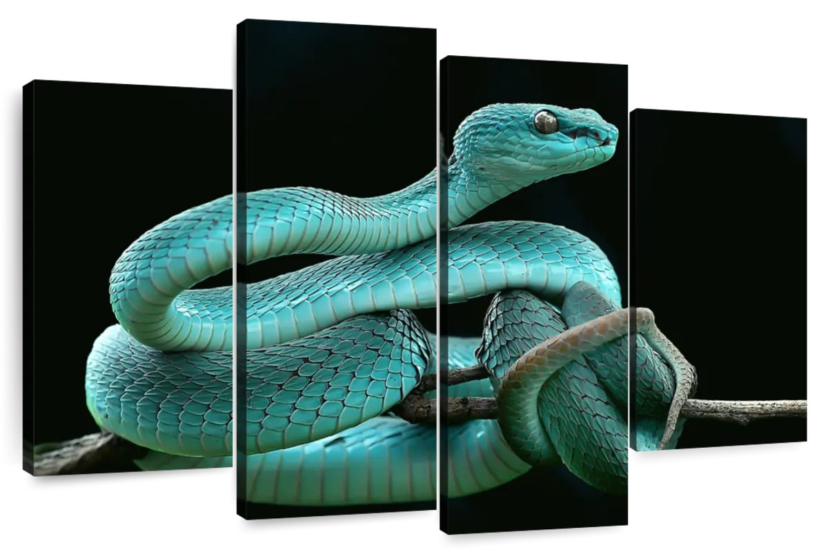 Ebern Designs Blue Pit Viper - Wayfair Canada