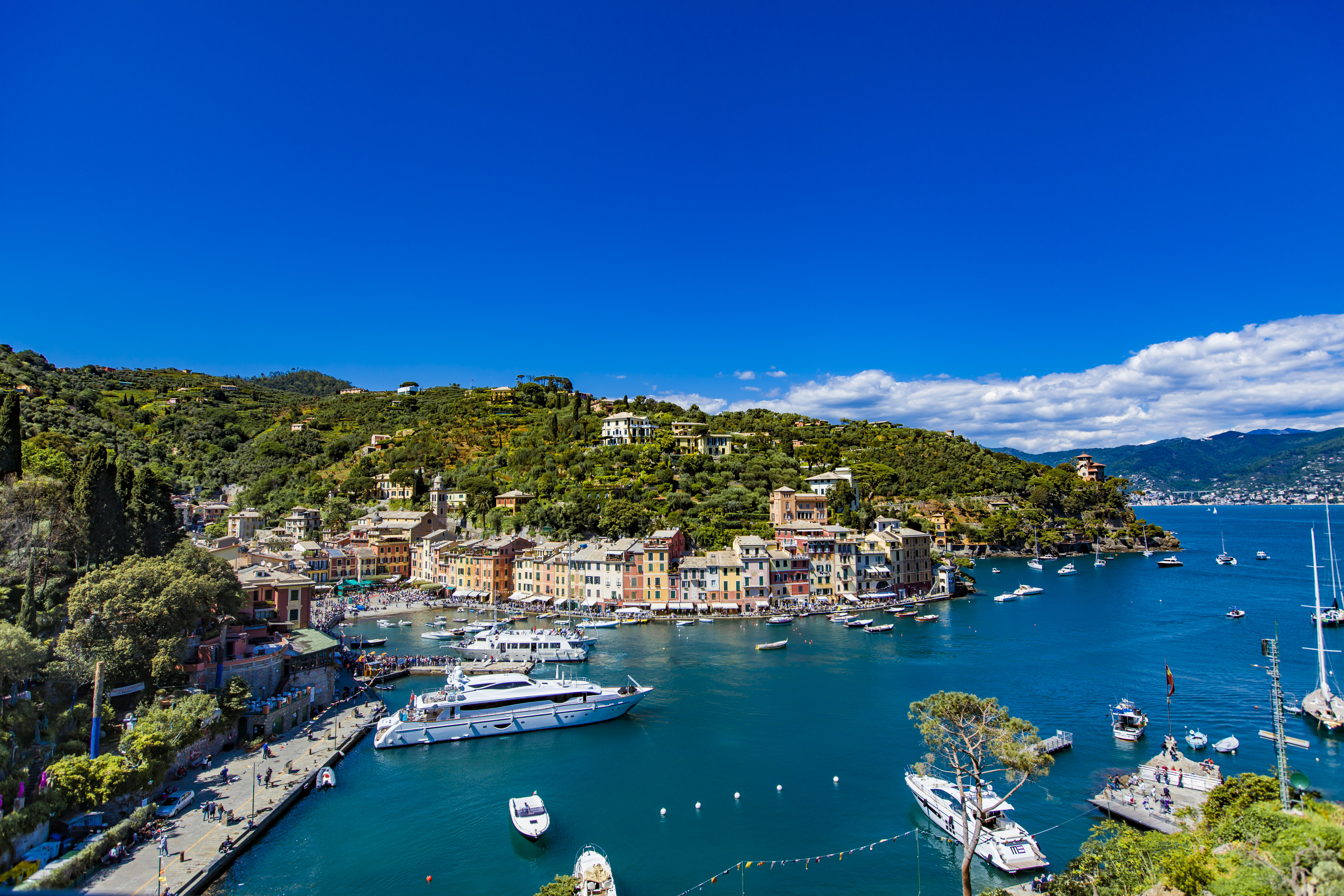 Ebern Designs Yohandri Portofino, Italy On Canvas by Boggy22 Photograph ...