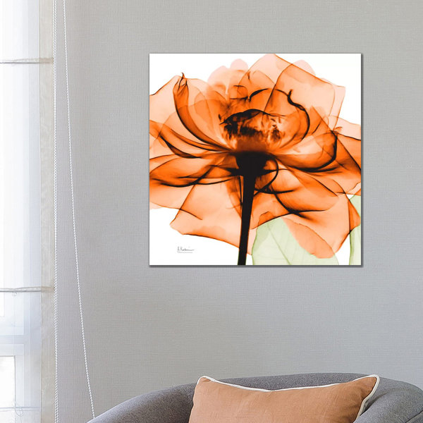 iCanvas Orange Rose by Albert Koetsier - Wrapped Canvas Gallery-Wrapped ...