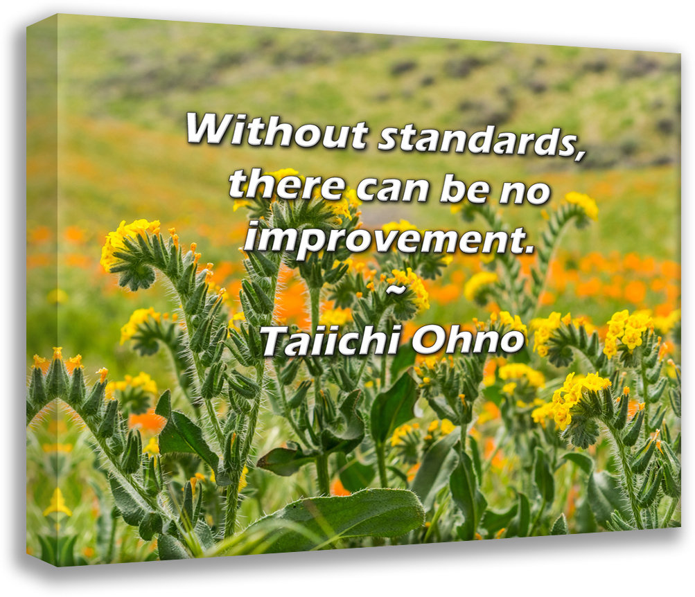 Ophelia & Co. Artsy Quote "Without standards, there can be no ...