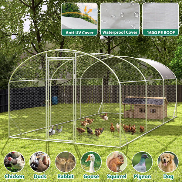Tucker Murphy Pet™ Round Roof, Heavy Duty Outdoor Chicken Coop, Walk-in ...