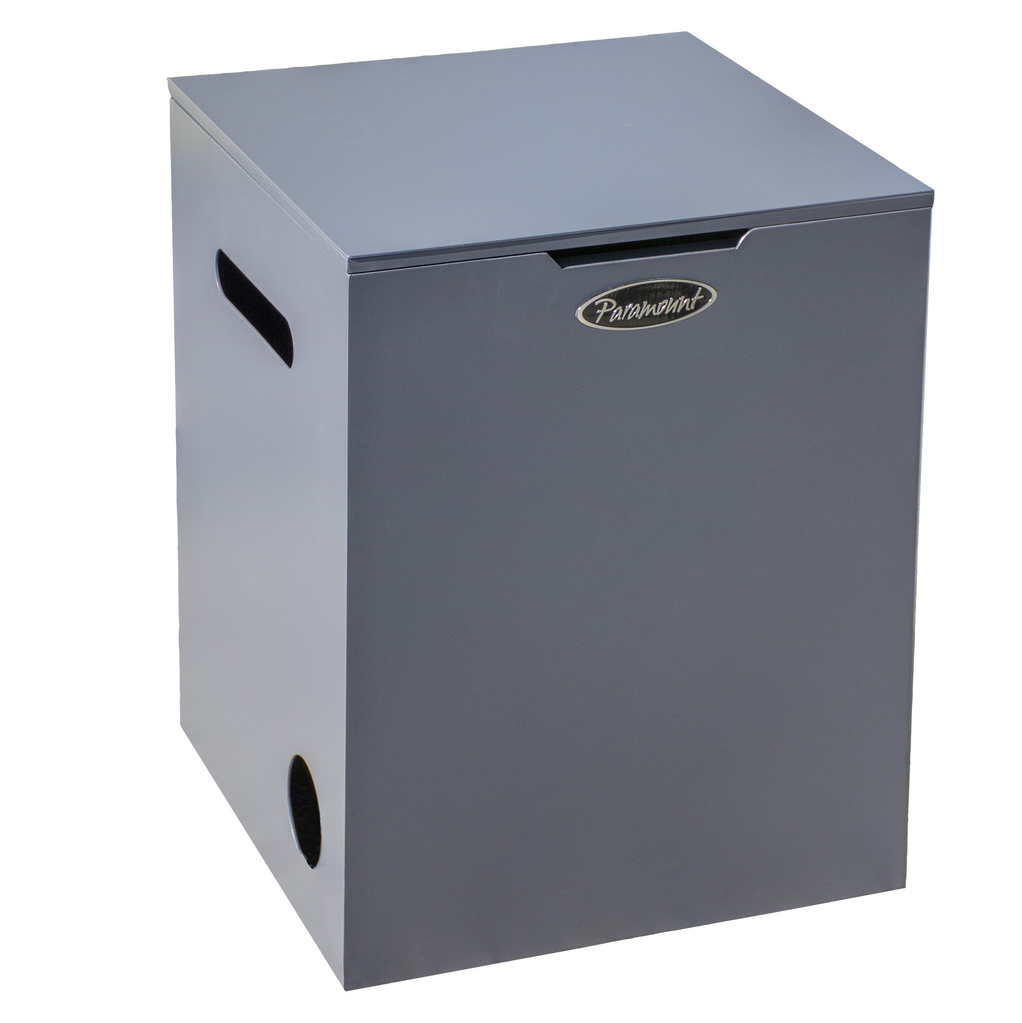 Paramount Concrete Look Fire Pit Propane Tank Holder | Wayfair