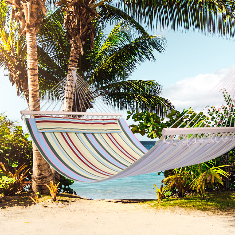 Beachcrest Home Hamac double Orozco et Commentaires - Wayfair Canada