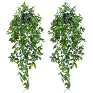 Foliage Faux Plants You'll Love | Wayfair