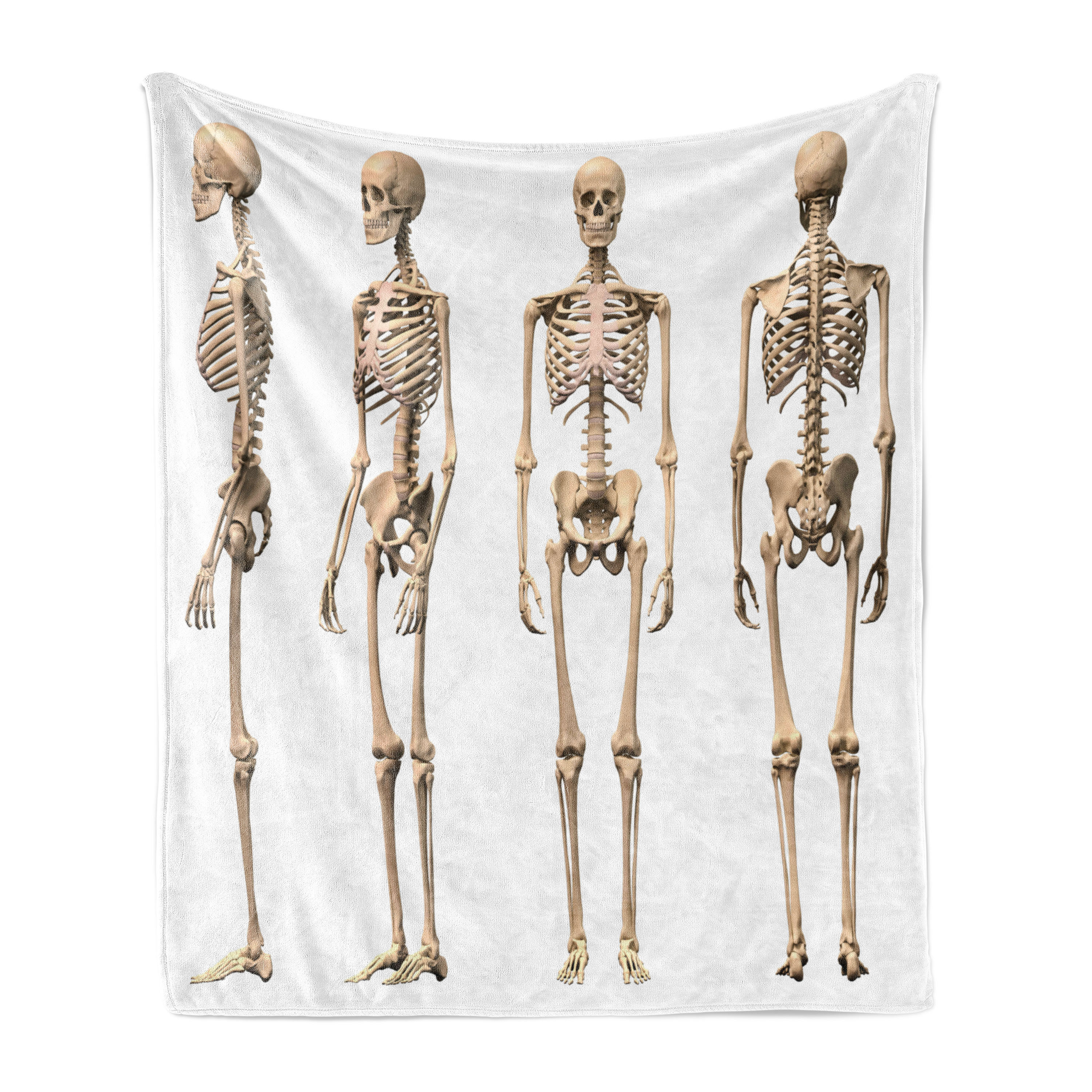 Ambesonne Anatomy Fleece Throw Blanket Mankind Skeleton Bones Art Cream ...