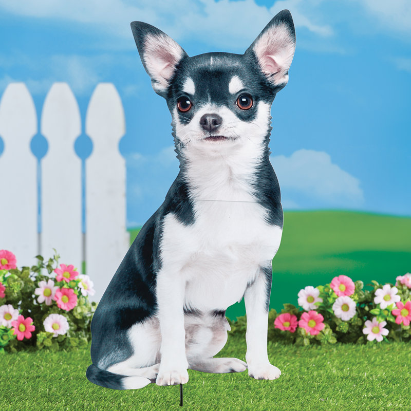 Gracie Oaks Realistic Chihuahua Outdoor Garden Stake | Wayfair