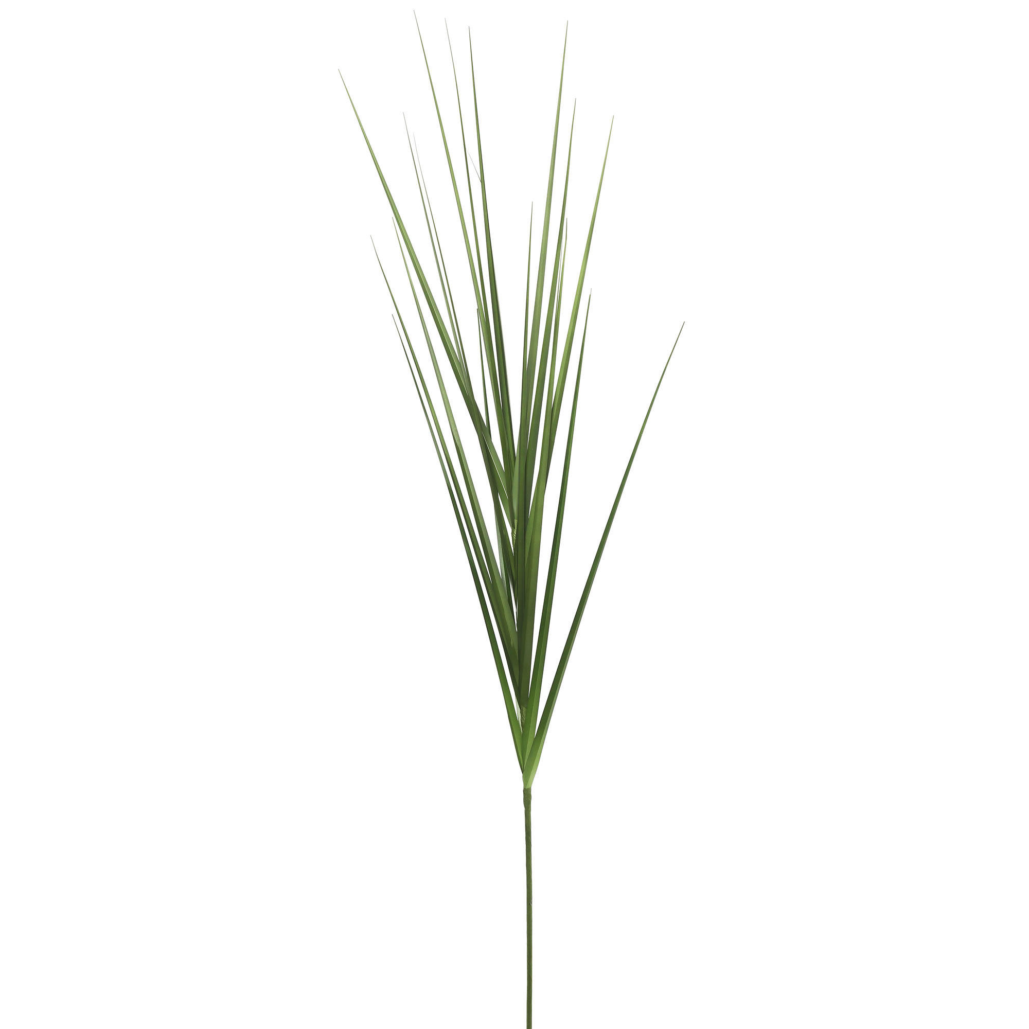 Highland Dunes 6 Piece Agave Grass & Reviews | Wayfair