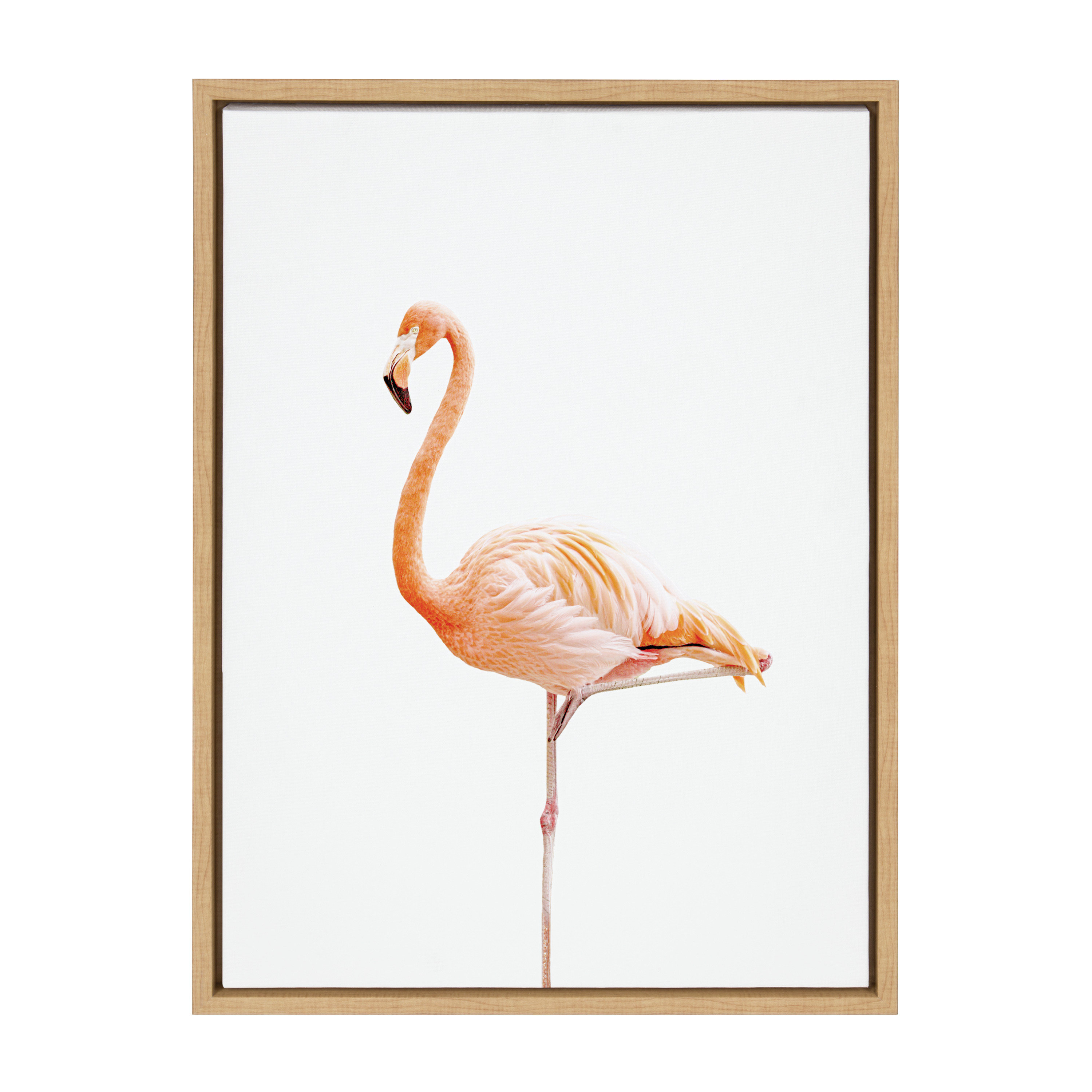 Bay Isle Home™ Sylvie Flamingo Standing Framed Canvas By Amy Peterson ...