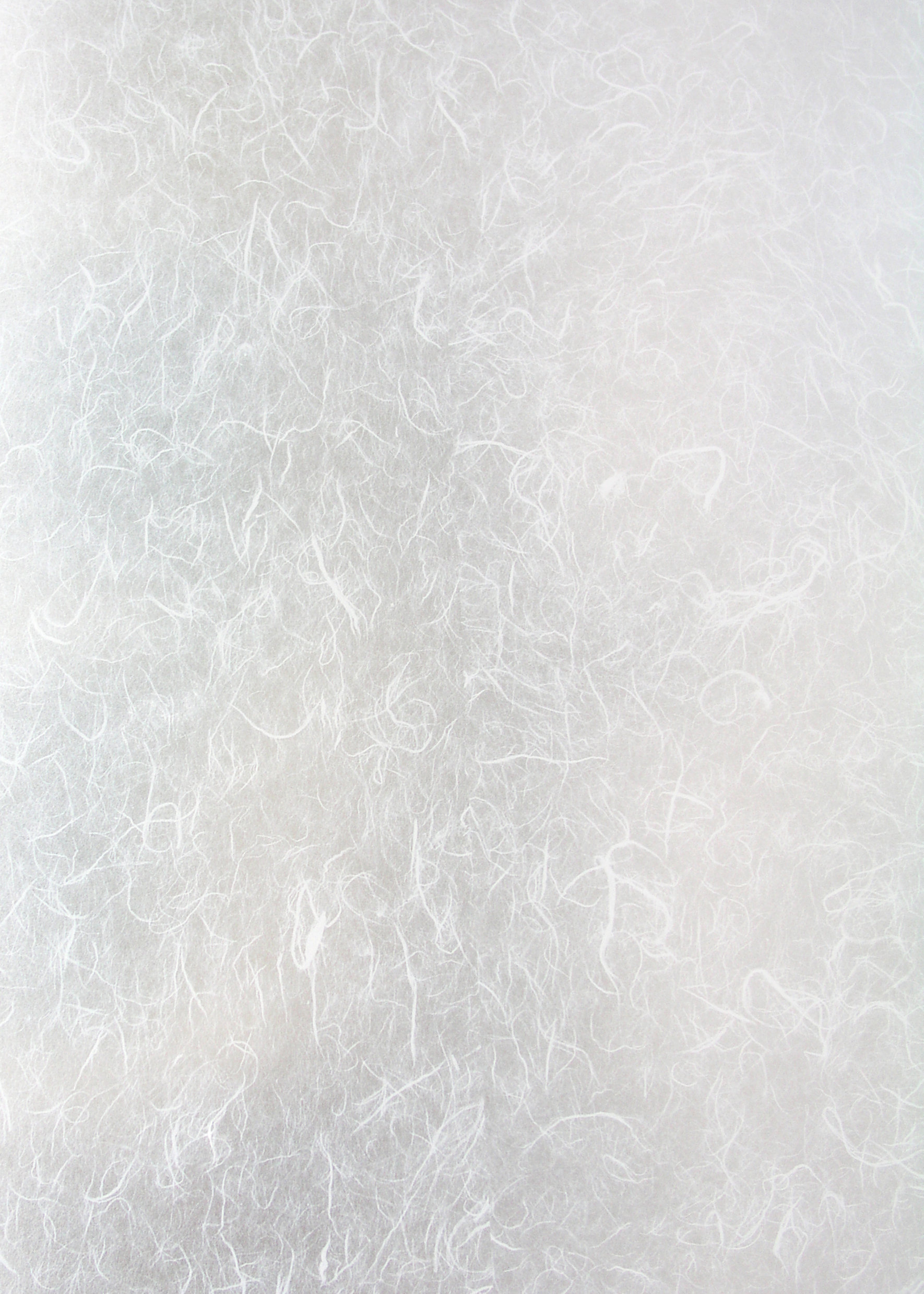 Ebern Designs Window Decal & Reviews - Wayfair Canada