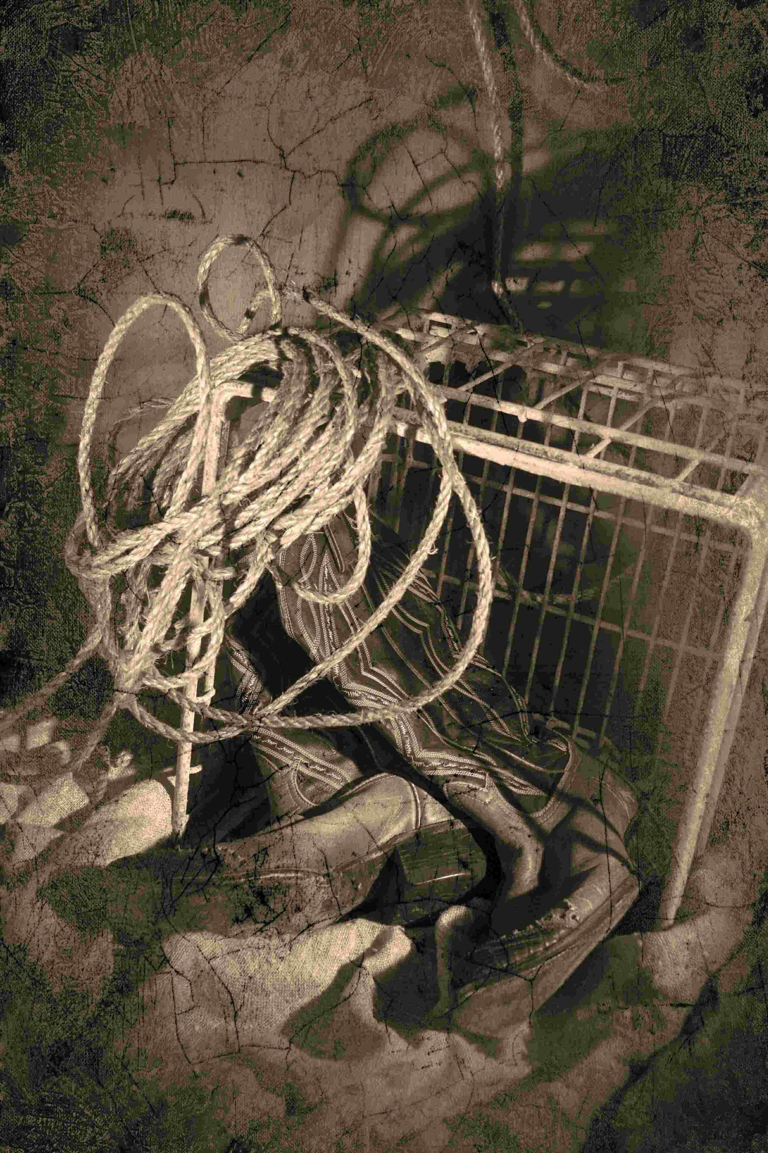 Winston Porter Cowboy 2 - Wrapped Canvas Print - Wayfair Canada