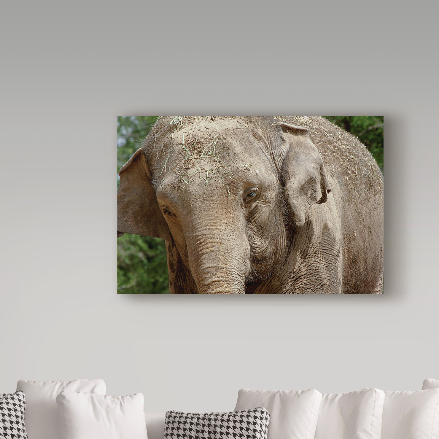 Trademark Fine Art 'Elephants Face' Photographic Print on Wrapped ...